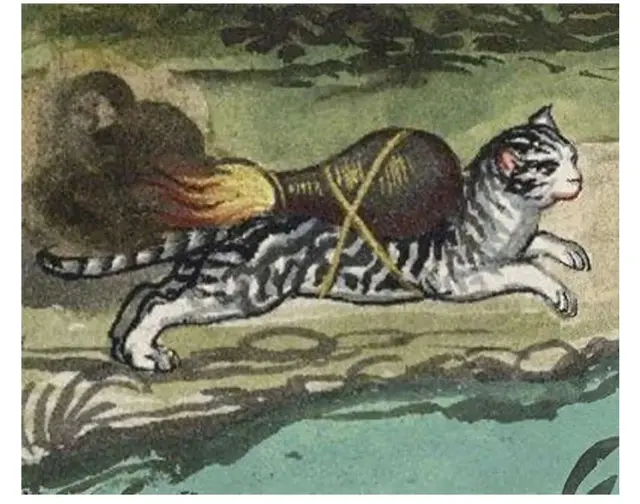 Why are these 16th century cats wearing "jet rockets"? - housepet ...