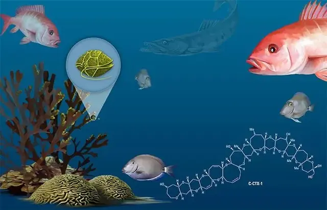 Colorless, odorless, and drug-free, you may have also suffered from the ...