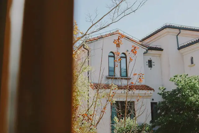 Old locust tree from grandma's house - article| DayDayNews