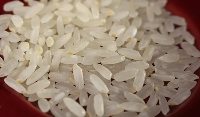 What is germ rice? What is the difference between germ rice and brown ...