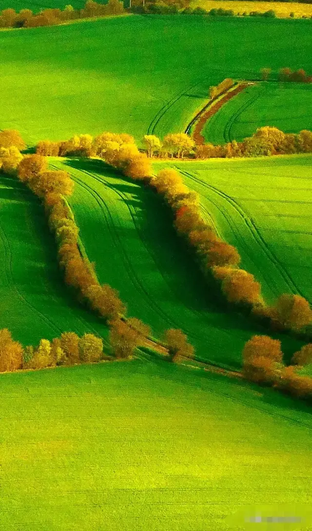 Interpretation of Zen Words Away From Villains - article| DayDayNews