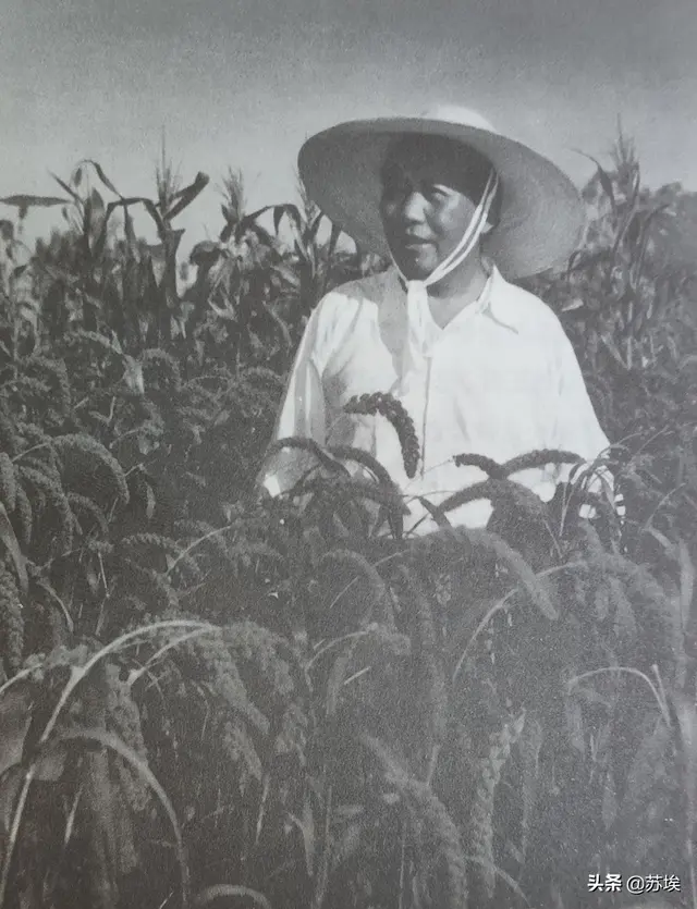 Only by insisting on frugality can we preserve the true self; recall ...