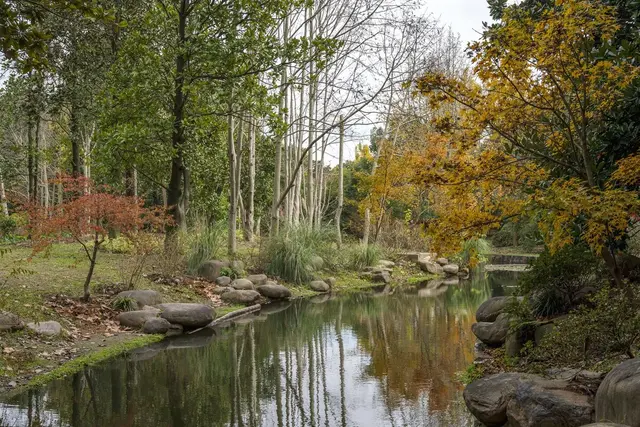 Eternal Hunter - (1) Hunter's Rebirth - story| DayDayNews