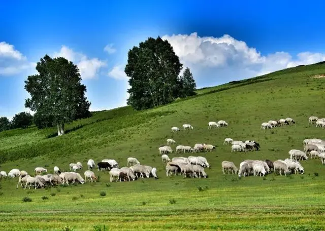 On the minibus bound for Bashang, Su Jing and her best friend Bian Mei ...