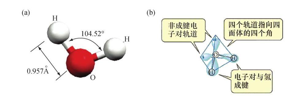 在“分子“尺度上去理解神奇的“水分子“_水质调理网_西南渔业网 水花鱼 水产养殖专业网 渔业行业门户网 西南水产网 第一线养鱼网 丰祥渔业网 ...