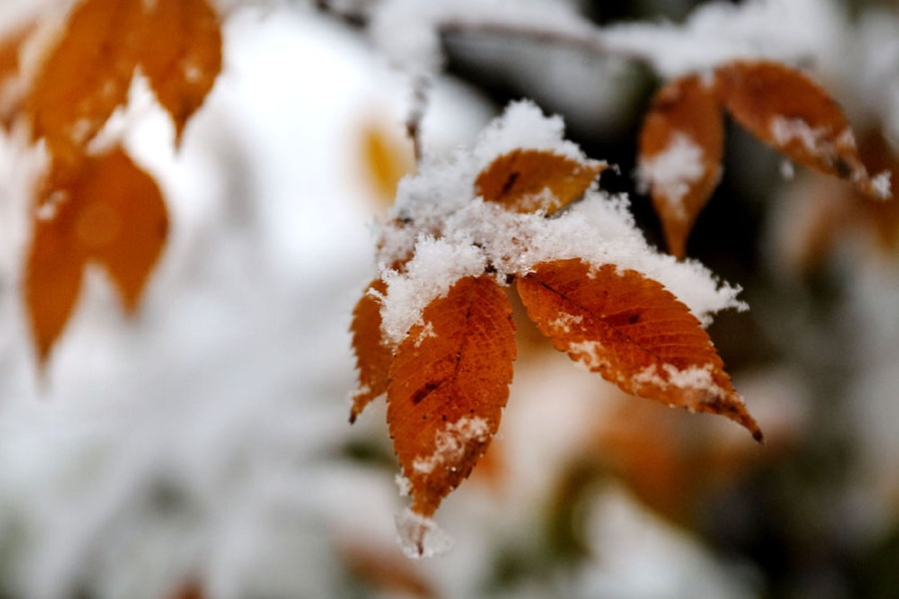 60天后霜降，霜降天气啥预兆？农谚俗语 | 布达拉宫