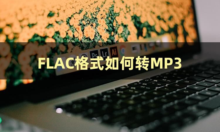 教大家几个FLAC格式转换方法 - 正数办公